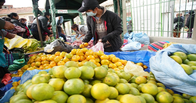 Bolivia tiene más de 50.000 hectáreas de cultivos de cítricos – El Alto ...